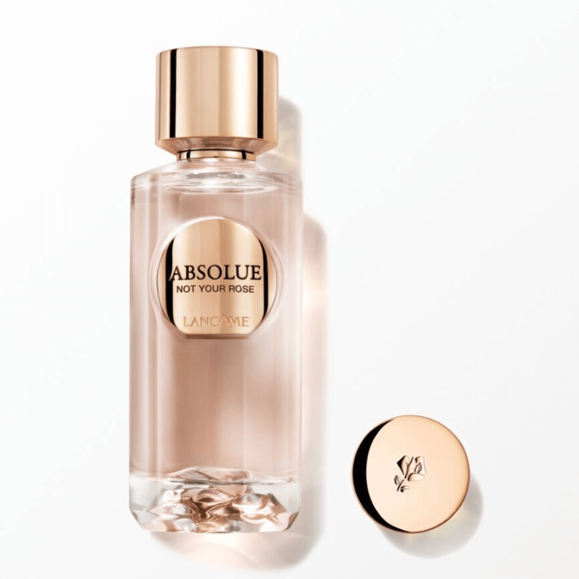 Absolue Les Parfums: Not Your Rose | Lancôme México